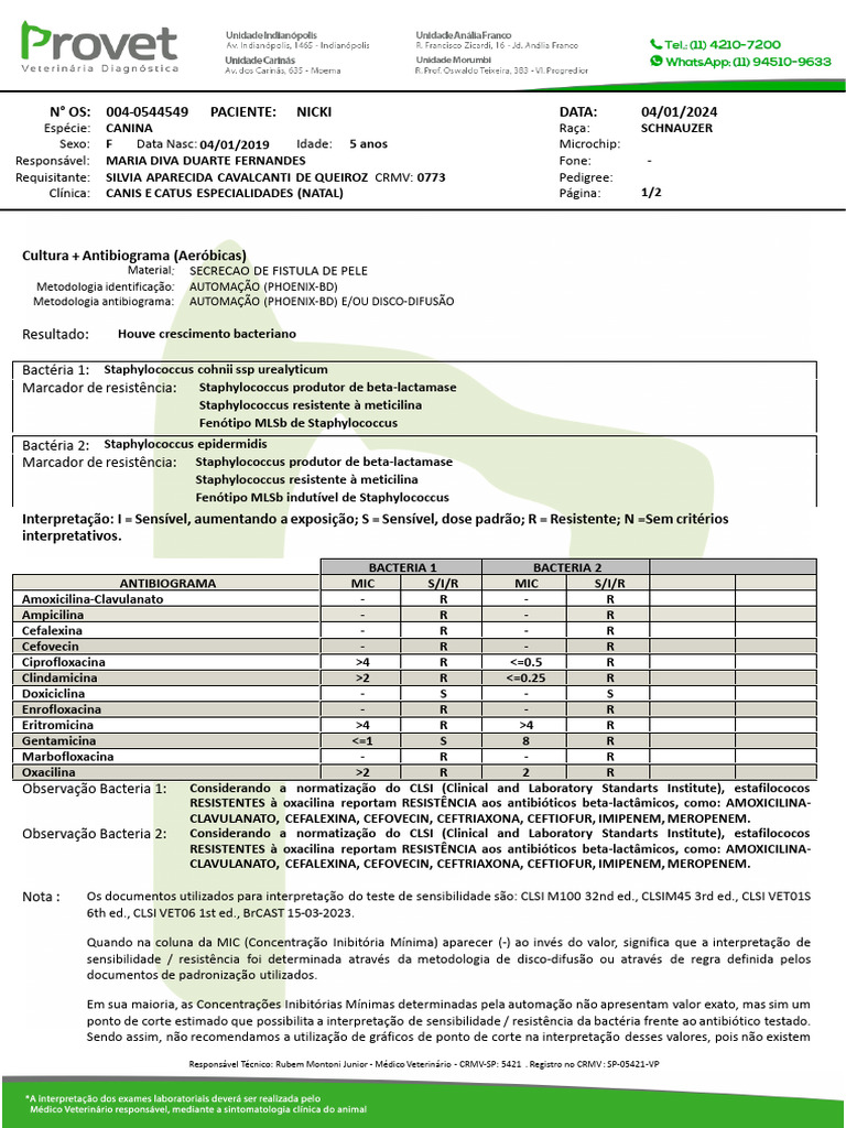 Cultura e Antibiograma Nicki | PDF | Bactérias | Antibióticos