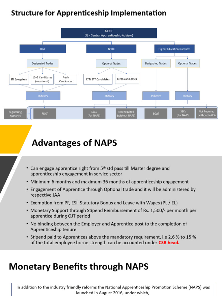 Presentation On NAPS | PDF | Apprenticeship | Employment