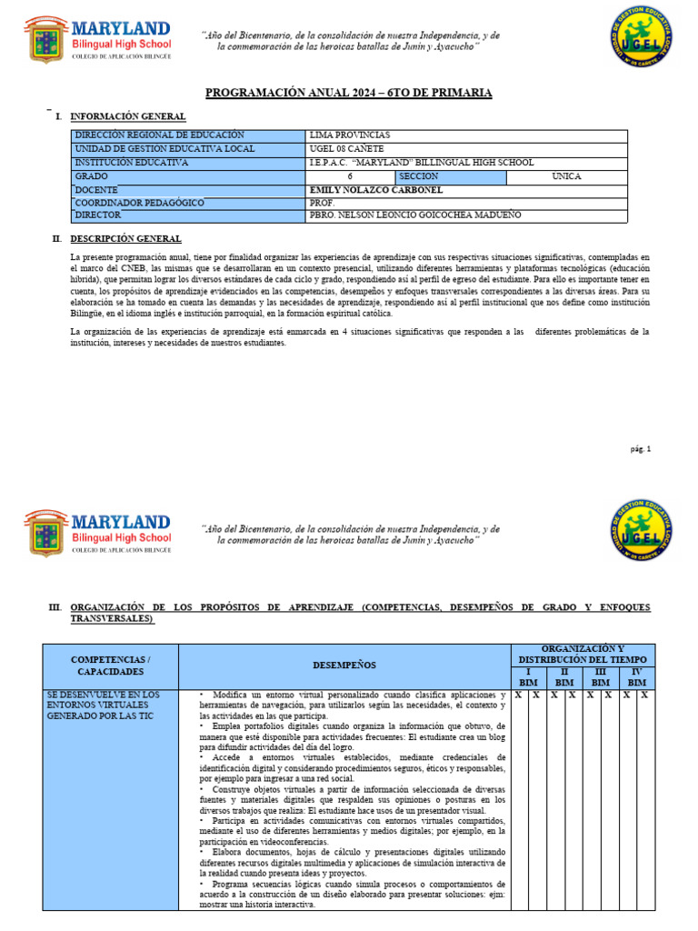 Programación Anual - Computación | PDF | Aprendizaje | Enseñando