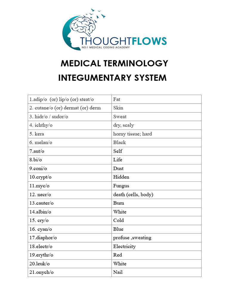 Medical Terminology Reference Guide | PDF | Ear | Lung