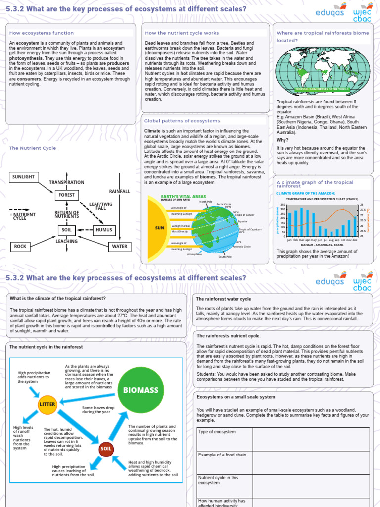 5 3 2 What Are The Key Processes of Ecosystems at Different Scales ...
