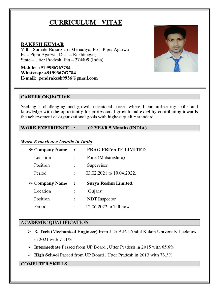 NDT CV Format | PDF | Specification (Technical Standard)