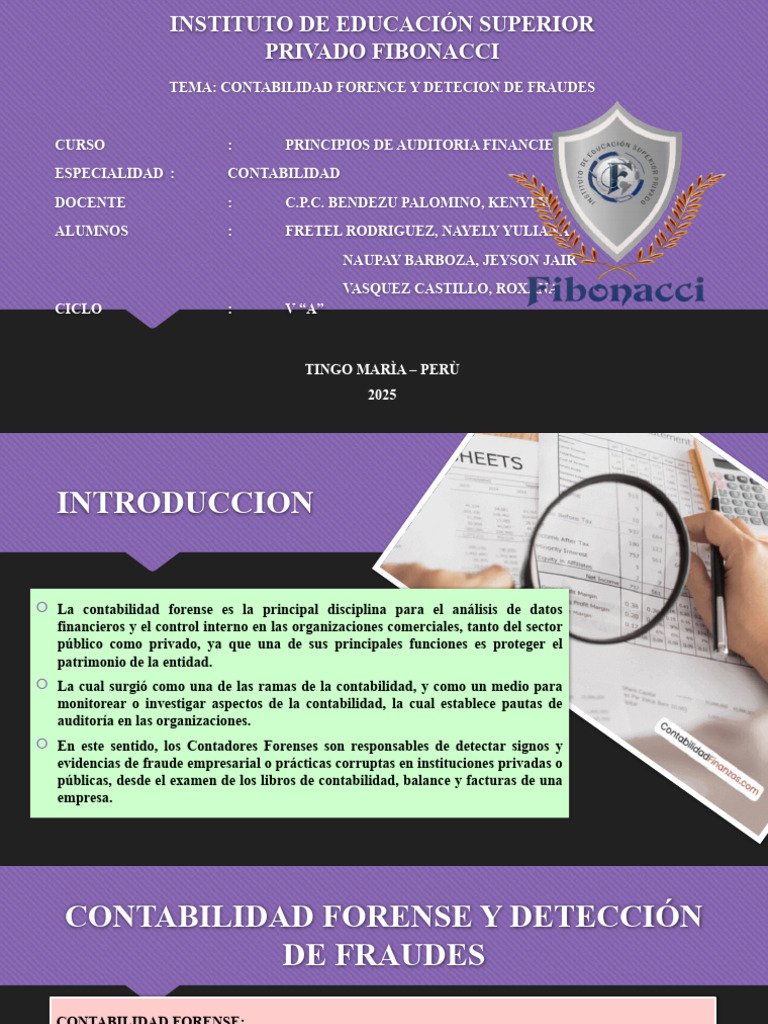 Contabilidad Forense y Deteccion de Fraudes | PDF | Contabilidad ...
