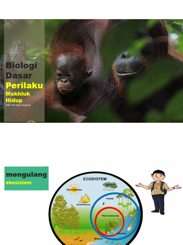 4 Biologi Dasar Perilaku MH-Adaptasi Arif SN | PDF