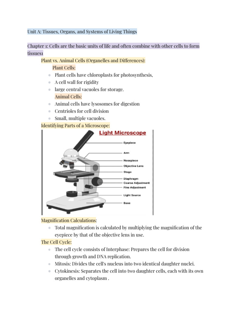 Unit A - Tissues, Organs, and Systems of Living Things | PDF | Mitosis ...