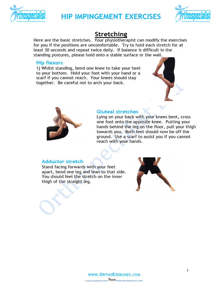 Hip Impingement Exercises | PDF | Foot | Anatomical Terms Of Motion