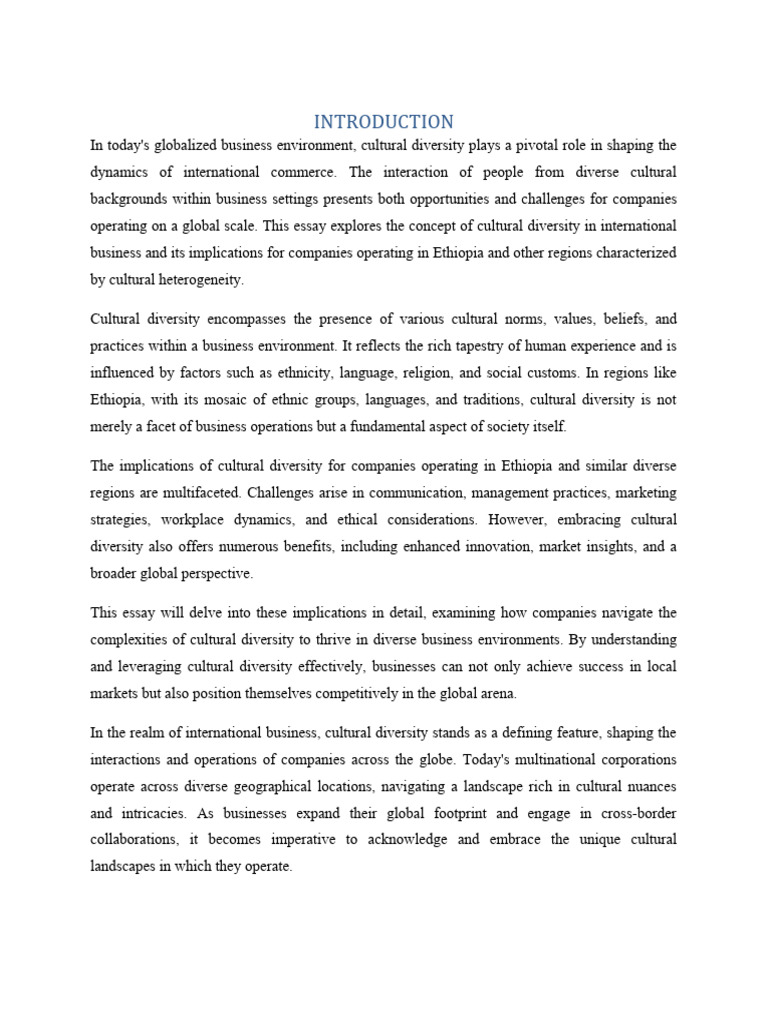 IBM Assignment | PDF | Cross Cultural Communication | Multiculturalism