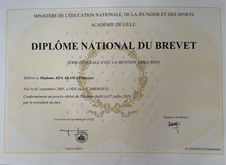 Diplôme Du Brevet | PDF