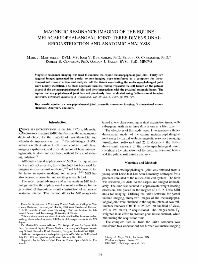 Magnetic Resonance Imaging of The Equine Reconstruction and Anatomic ...