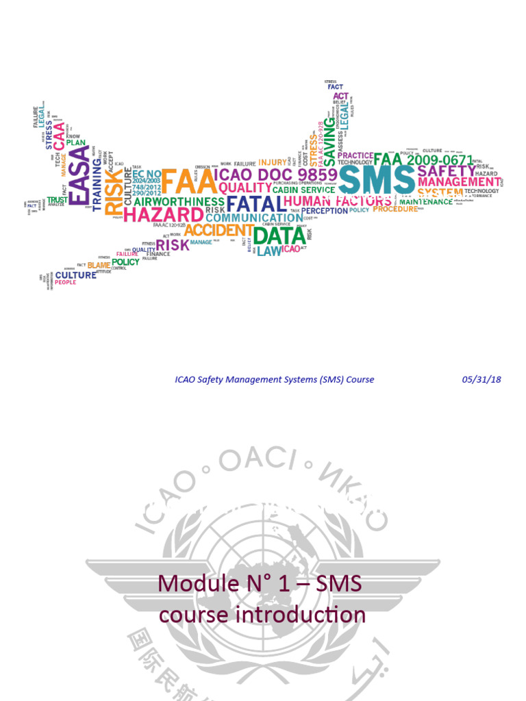 ICAO Safety Management Systems Overview | PDF | Safety | Takeoff
