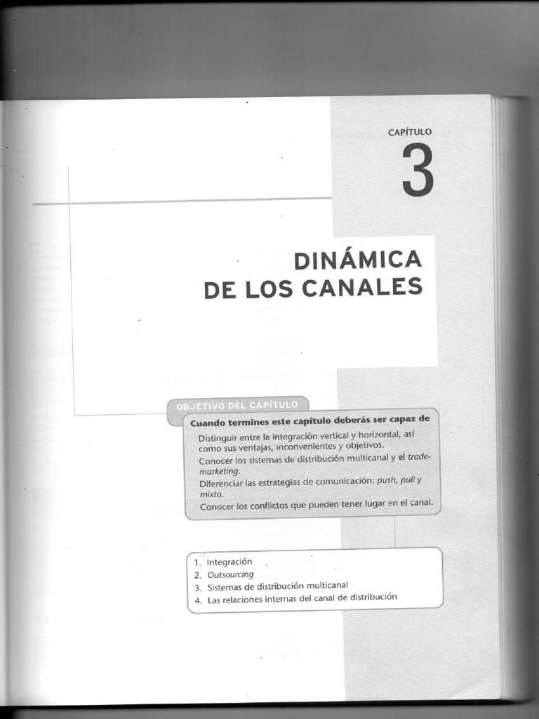 CAP 3 - Libro Comercialización y Retailing | PDF