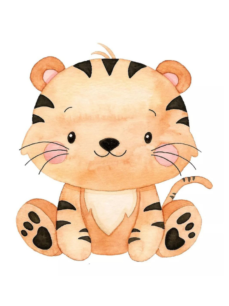 Safari | PDF