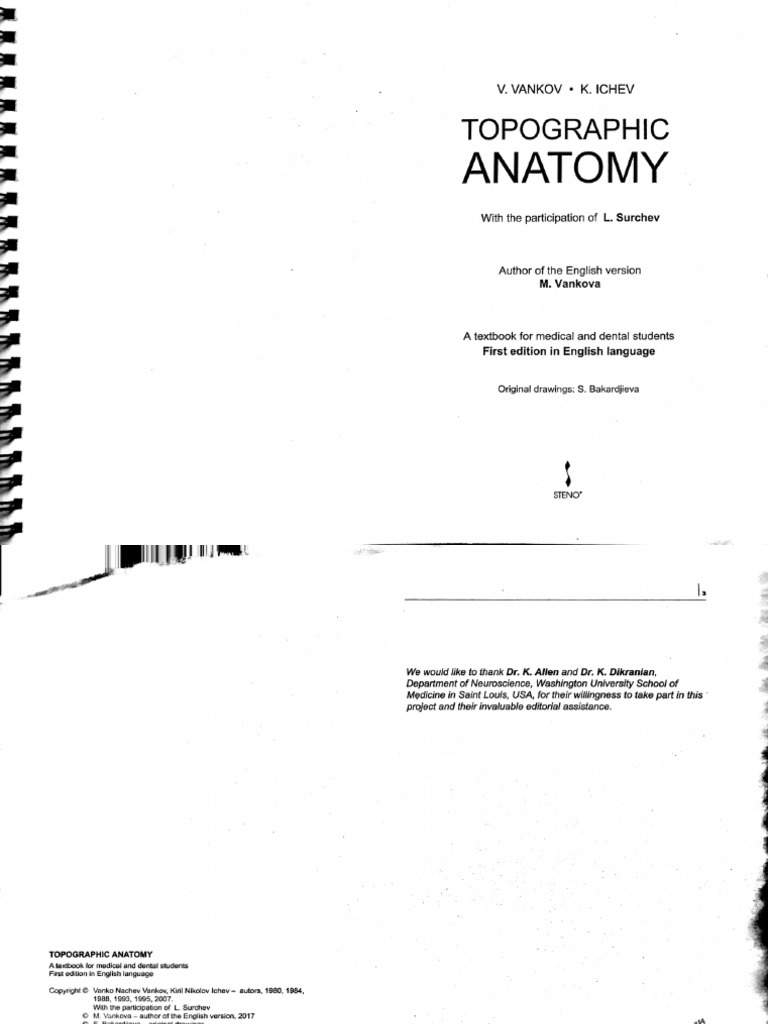 Topographic Anatomy Vankov | PDF