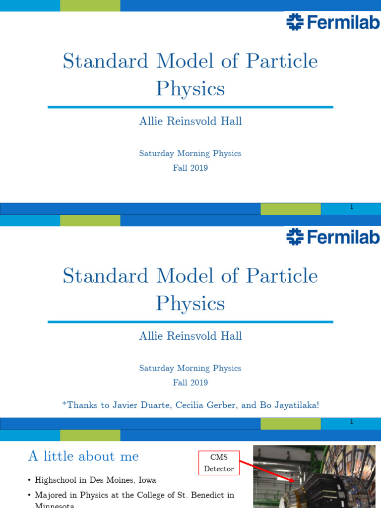 SMP_StandardModel_v2 | PDF | Elementary Particle | Matter