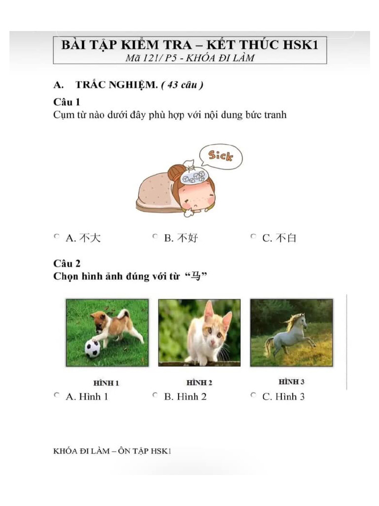 Test HSK1 | PDF