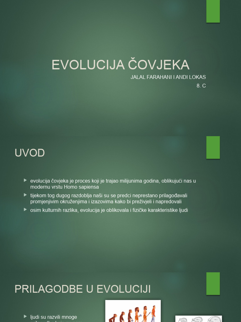 Evolucija Covjeka | PDF