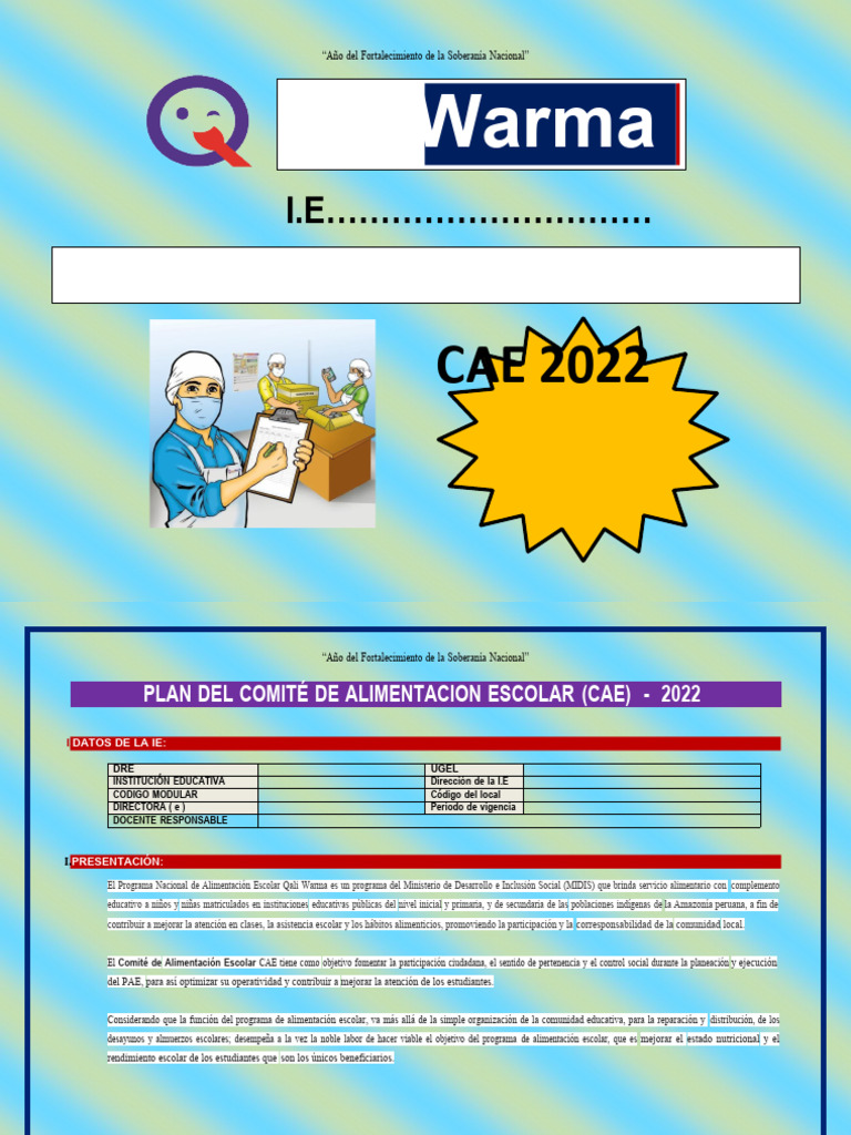 PLAN DE CAE-2022 | Descargar gratis PDF | Violación | Escuelas