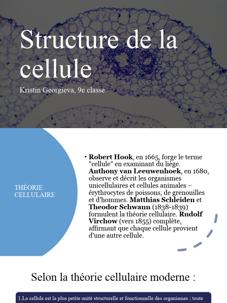 Structure de La Cellule - 17780651516 - 4 | PDF | Cellule (Biologie) | Bactérie
