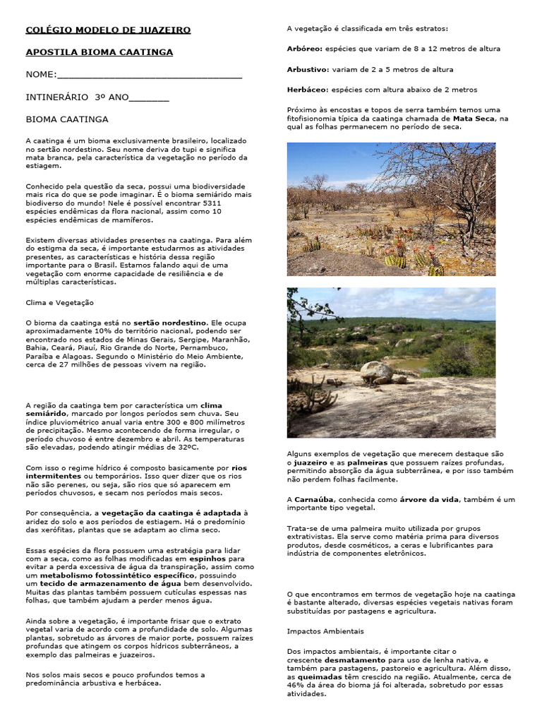 Bioma Caatinga | PDF | Geociências | Ambiente natural