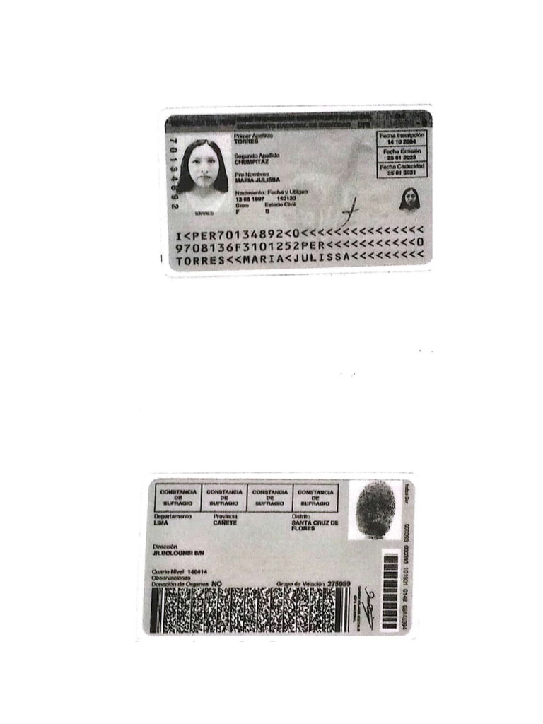 Dni JULISSA TORRES CHUMPITAZ | PDF