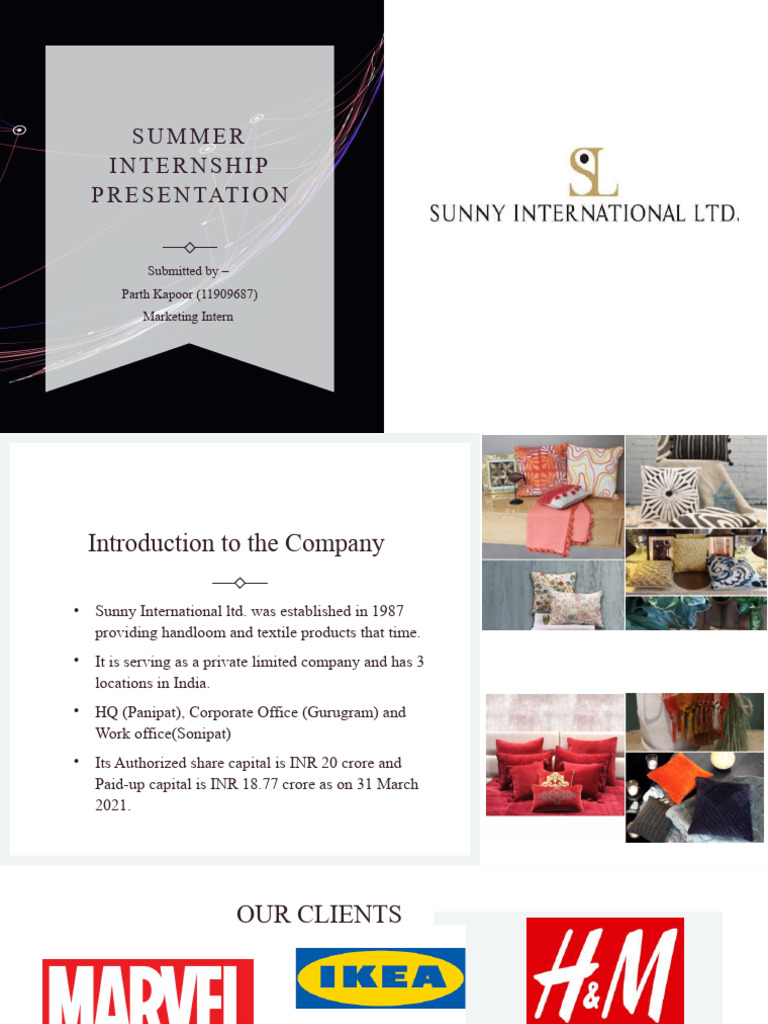 Int PPT Parth | PDF | Business