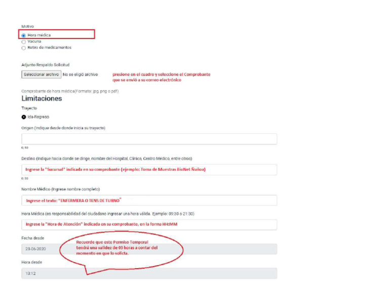 Guia para Permiso Temporal Individual | PDF