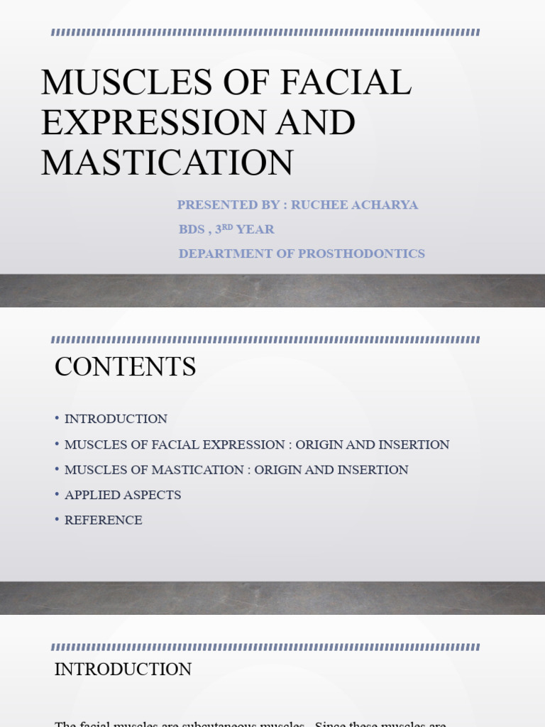 Facial Expression & Mastication Muscles | PDF | Lip | Anatomy