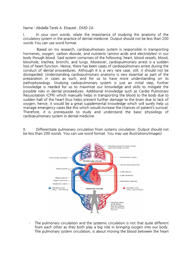 Circulatory System Activity | PDF | Heart | Blood