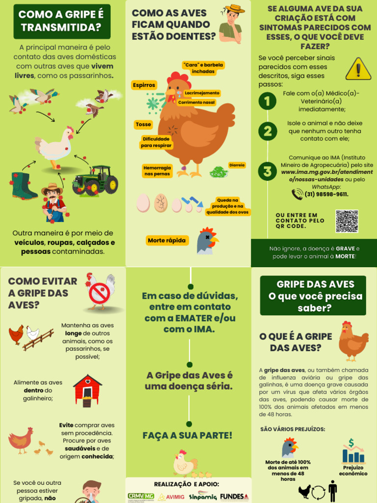 Cartilha Influenza Aviária | Download grátis PDF | Gripe | Gripe aviária