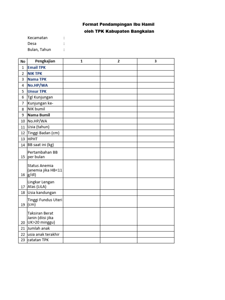 Format Visum TPK 2023-1 | PDF