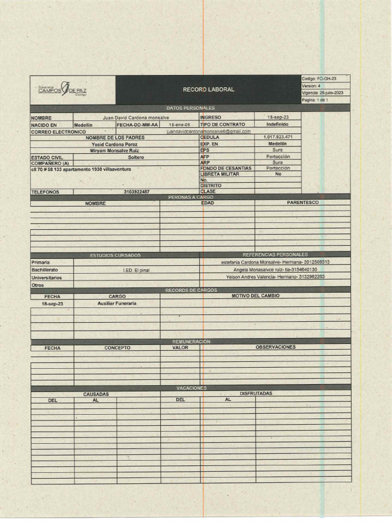 Record Laboral | PDF