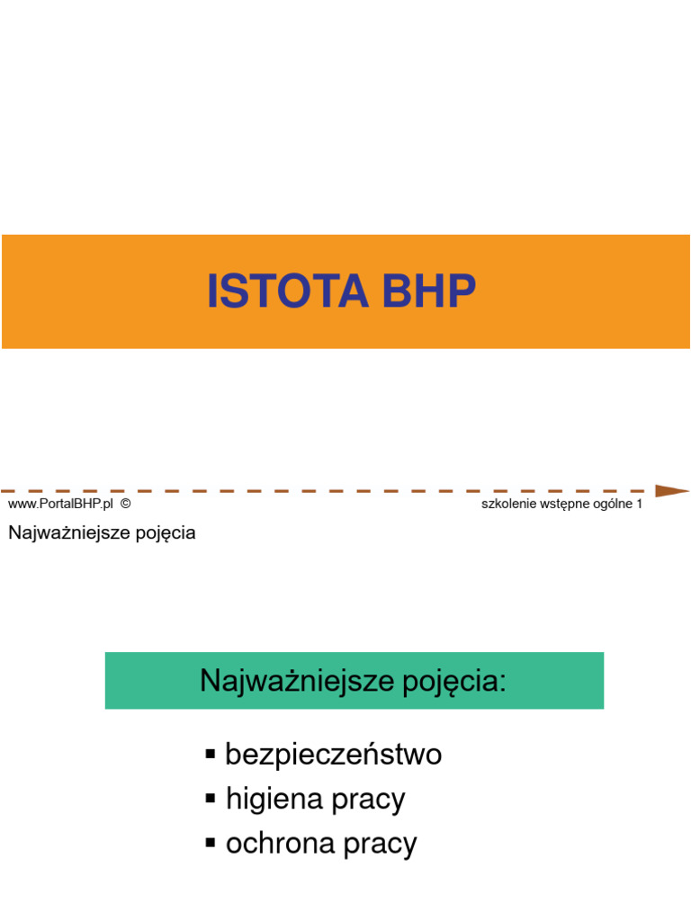 01 Istota BHP | PDF