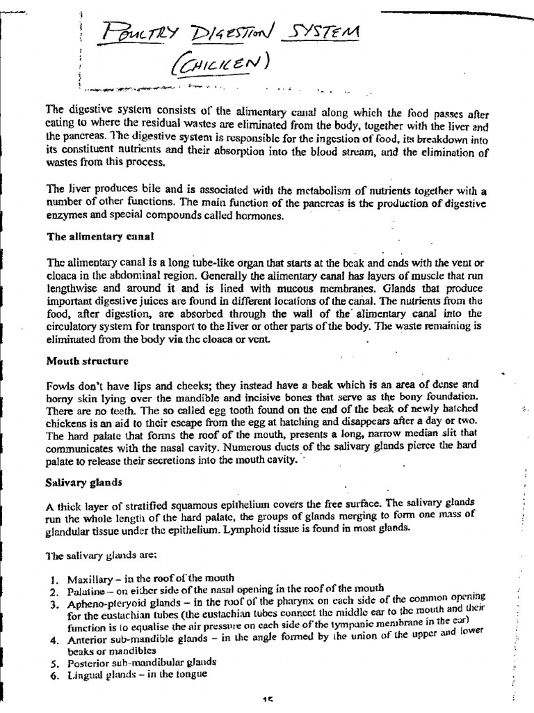 Poultry Digestive System | PDF