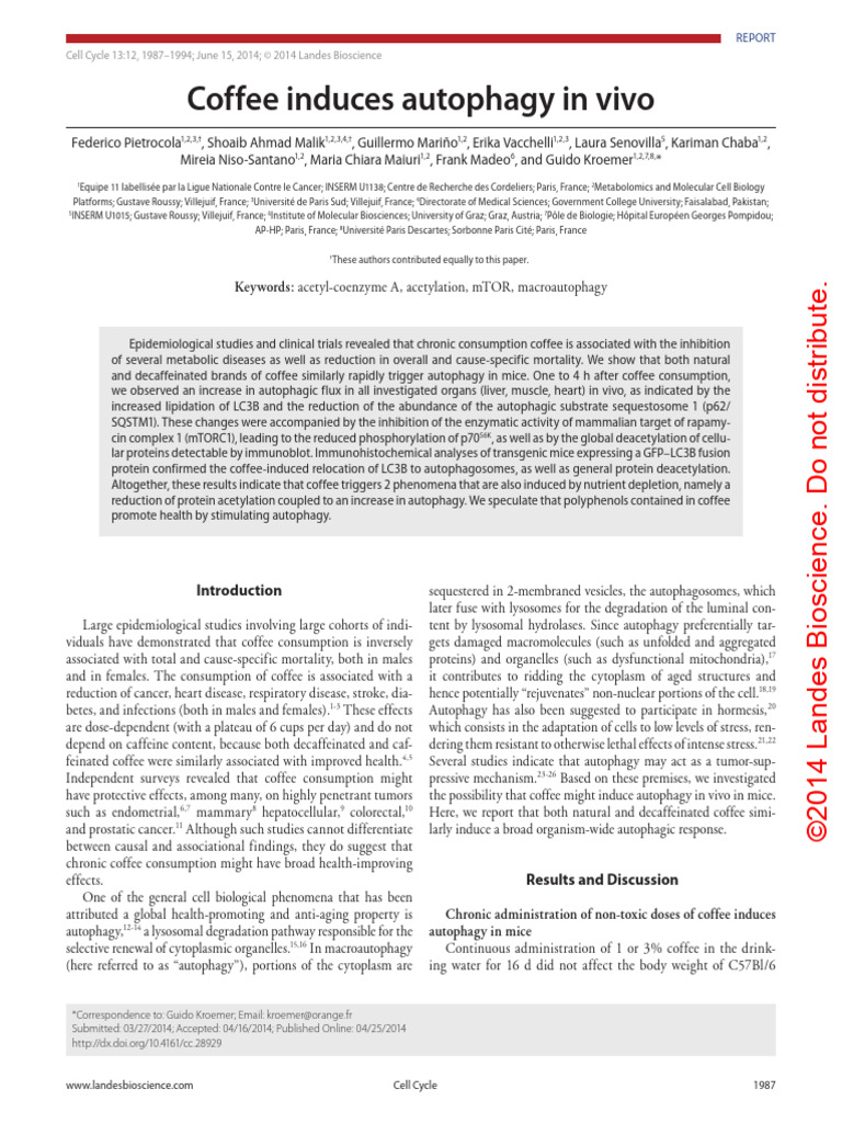 Coffee Induces Autophagy in Vivo | PDF | Autophagy | Life Sciences