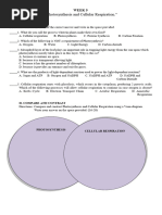 Understanding Compensation Point in Plants | PDF | Photosynthesis ...