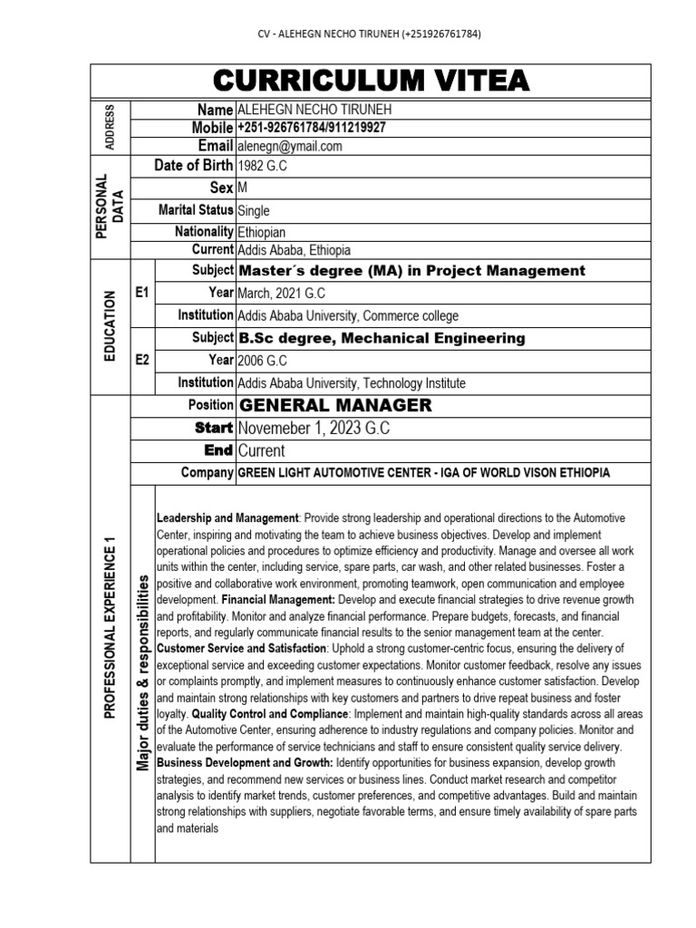 Updated CV - Resume - Alehegn Necho | PDF | Sales | Specification (Technical Standard)