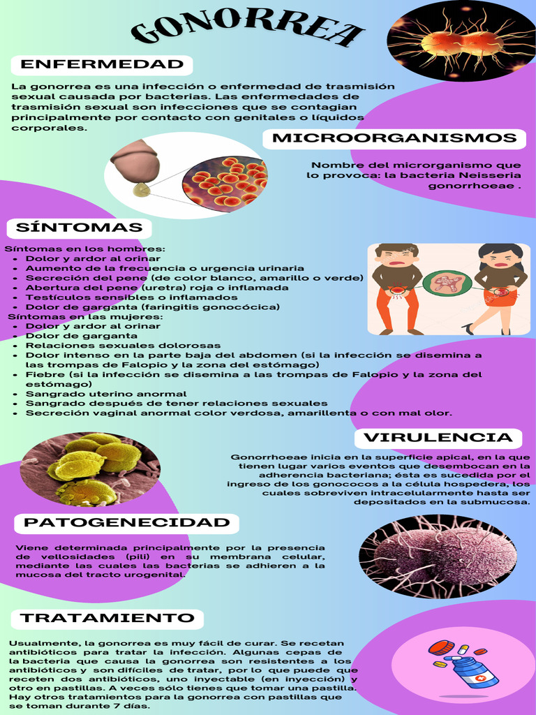 Infografia de La Gonorrea | Descargar gratis PDF | Causas de la muerte ...