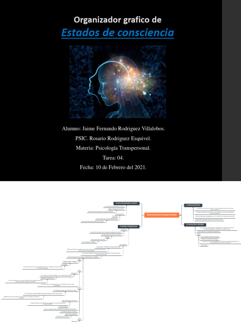Dimensiones de La Psique Humana | PDF | Parto | Mente inconsciente