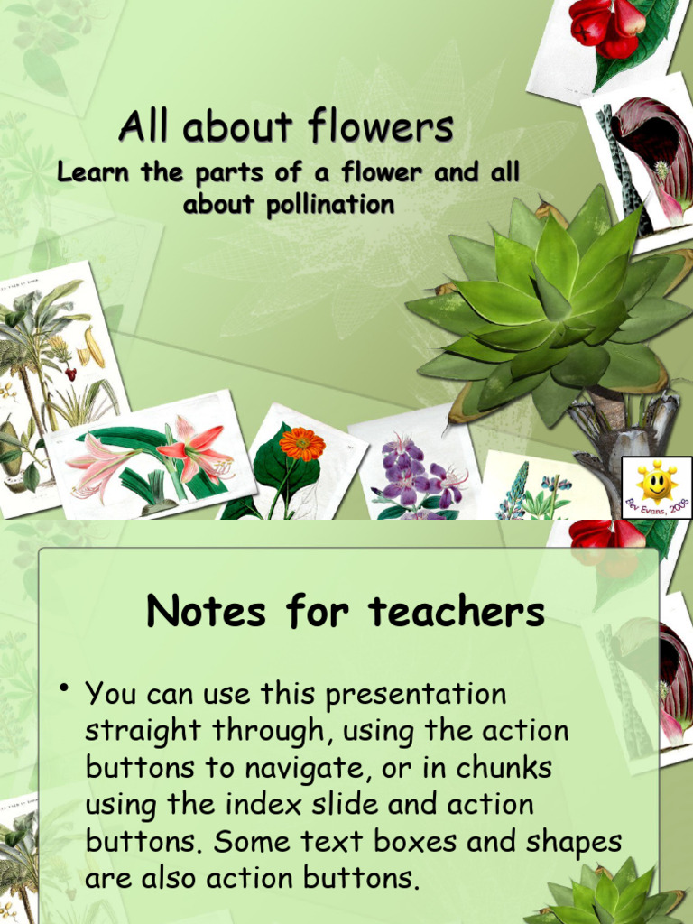 Flower Anatomy and Pollination Guide | PDF | Flowers | Pollination