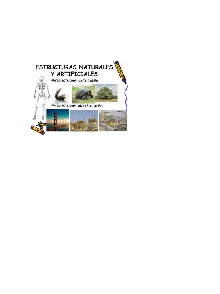 Cuáles son los tipos de estructura | PDF