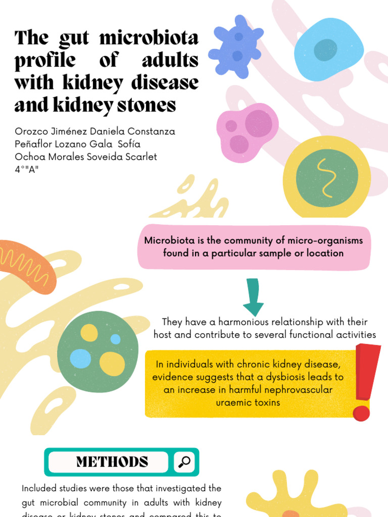The Gut Microbiota Profile of Adults With KDandKS | PDF | Chronic ...