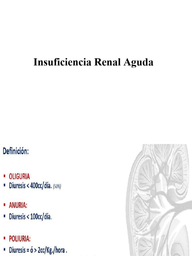 TEMA 1 - 04 Falla Renal Aguda CLASE | PDF | Riñón | Isquemia