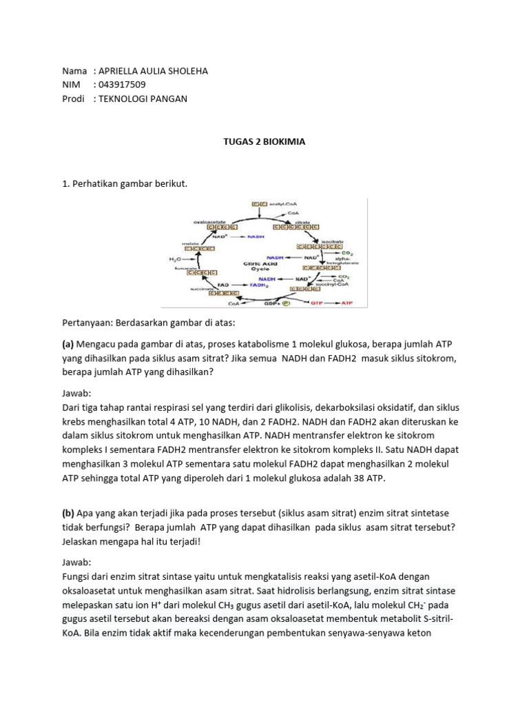 Tugas2 Biokim | PDF | Kesehatan Holistik | Sains & Matematika