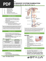 INCAT Sensory Sum Score Guide | PDF | Anatomical Terms Of Location | Finger