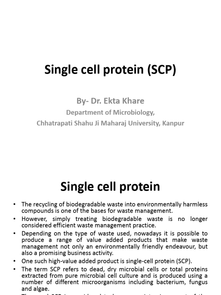 Single Cell Protein SCP | PDF | Yeast | Fermentation