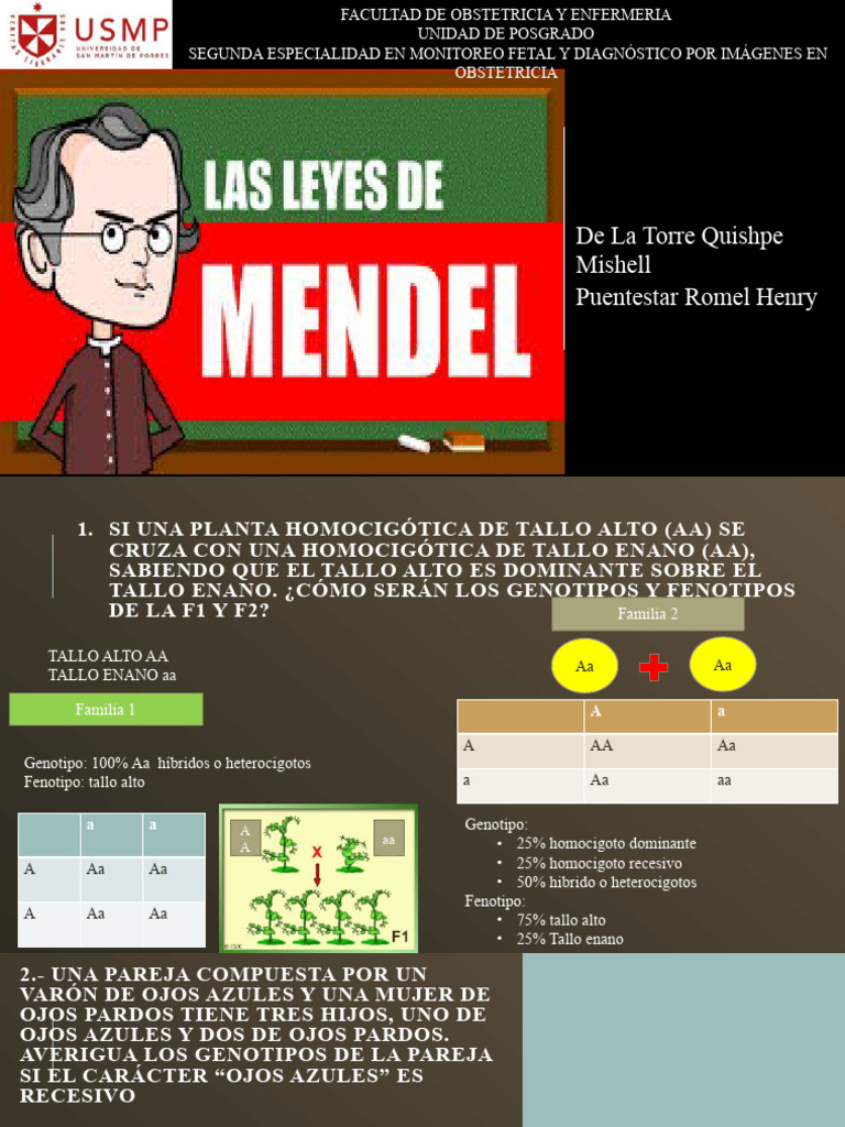 Genética Mendeliana: Ejemplos y Cruzamientos | PDF | Dominancia ...