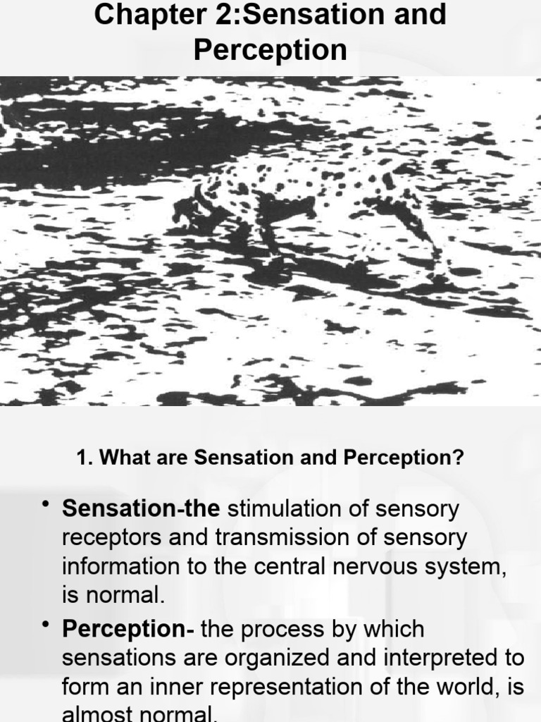 CH 2 Sensation&Perception | PDF | Senses | Perception