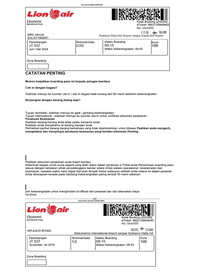 Boarding Pass Lion | PDF