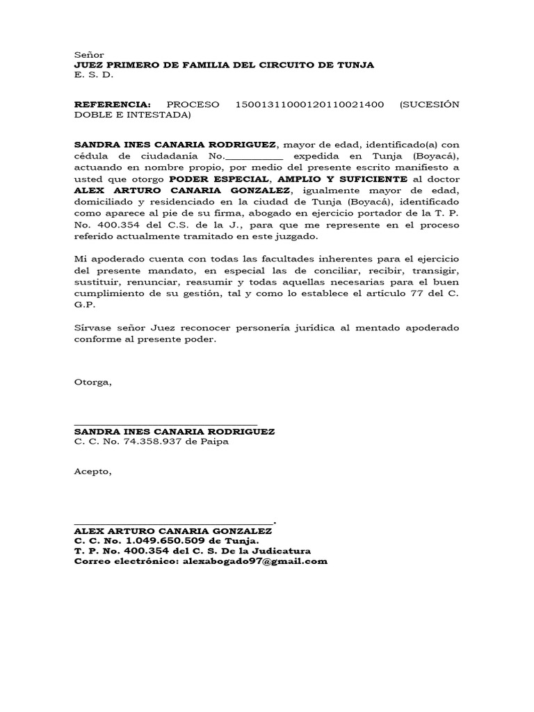 PODER ANTE JUEZ de Familia | PDF