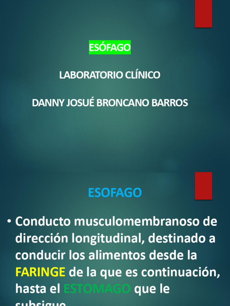 Broncano Barros Danny Josué - Deber 9. Esófago | PDF | Esófago | Tórax